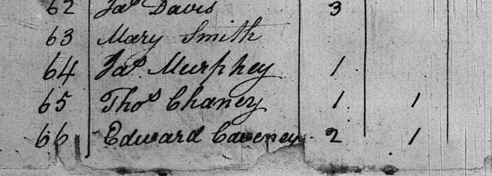 Ancestral Clues and Lessons: Thomas Chaney – Rootdig