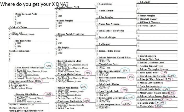 From Whom Do You Get 25% of Your X-DNA? – Rootdig