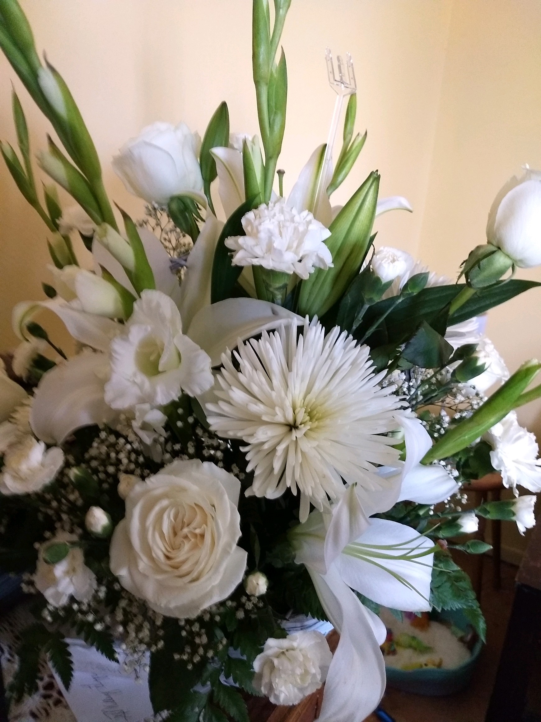 FindAGrave Can Hold Off on the Recently Deceased – Rootdig